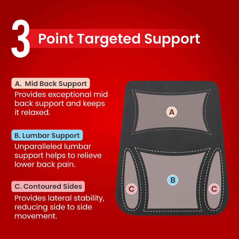 Premium Back Rest for Ultimate Comfort – Dr. Ortho