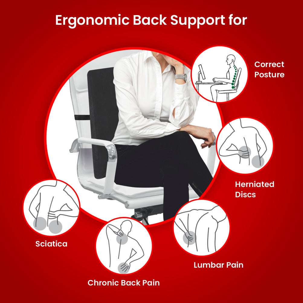 Premium Back Rest for Ultimate Comfort – Dr. Ortho