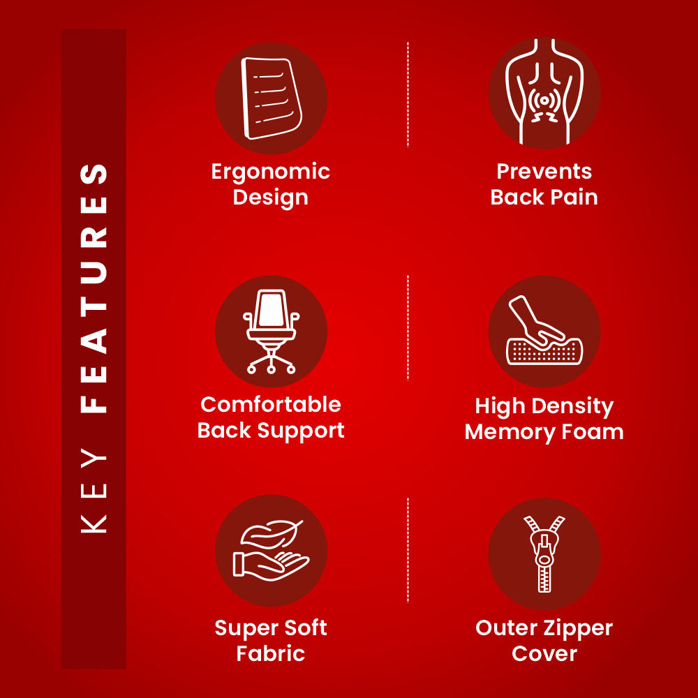 Premium Back Rest for Ultimate Comfort – Dr. Ortho