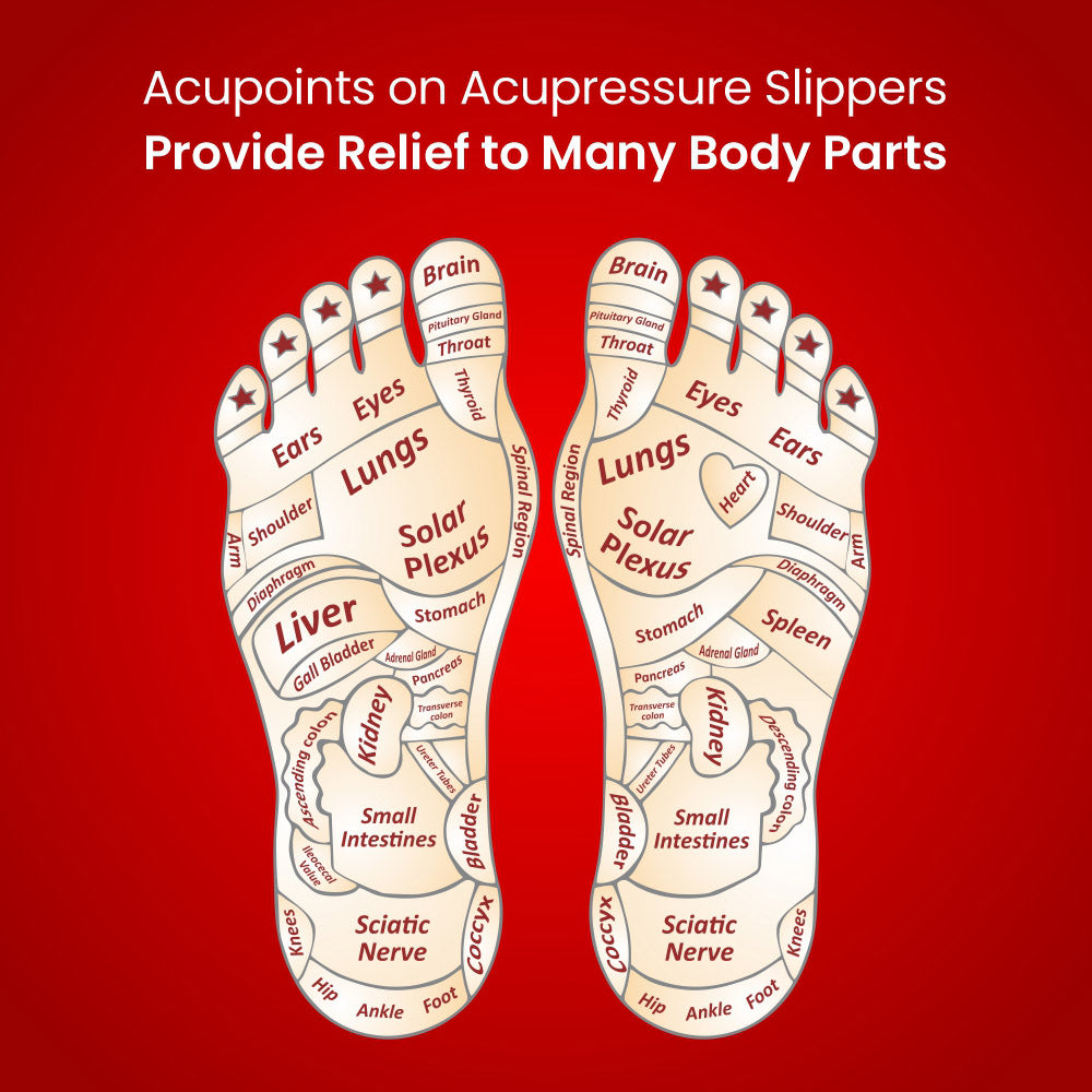 Premium Acupressure Slippers – Comfort & Wellness for Your Feet – Dr. Ortho